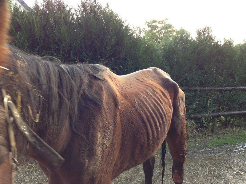 Voici ce qu'il est devenu Bravo les asso ! - Centerblog Voici ce qu'il est devenu Bravo les asso ! - Centerblog